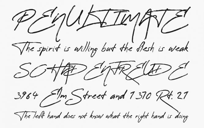 Reey Font Free Download