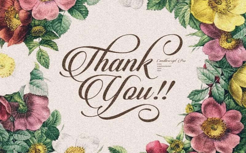 Candlescript Font Free Download