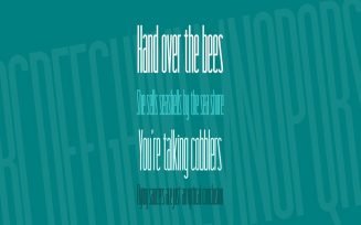 Taller Font Free Download