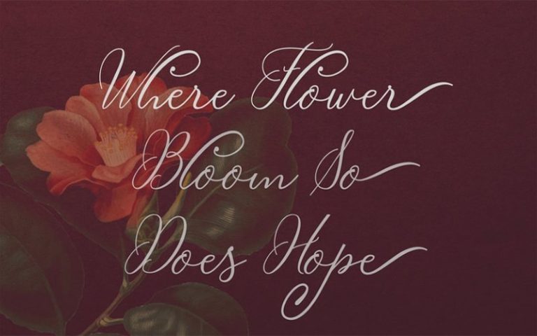 Matthew Font Free Download