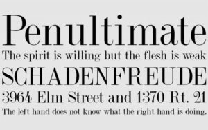 Dubiel Font Free Download