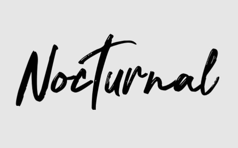 Nocturnal Font Free Download