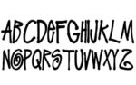 Stussy Script Font Free Download