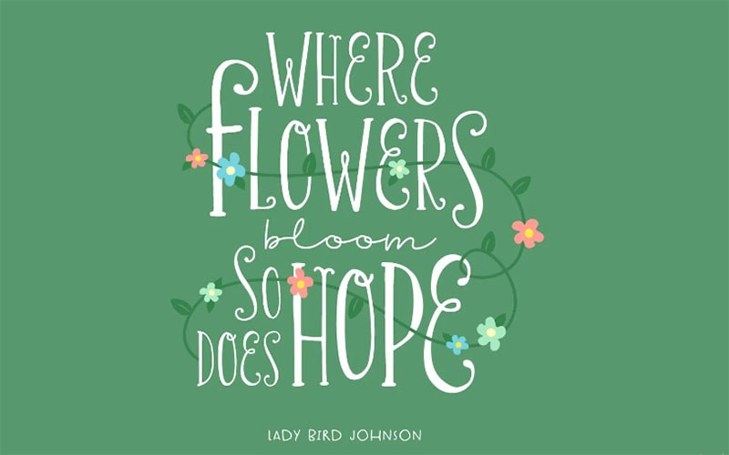 Chirp And Blossom Font Free download