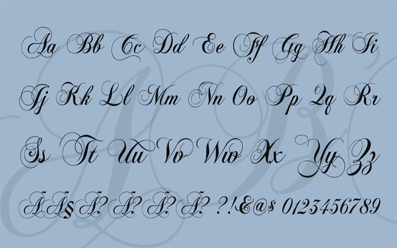 Chopin Script Font Free Download