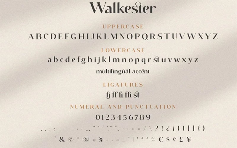 Walkester Font Free Download